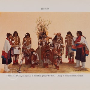 The Snake Dance, an Episode in the Hopi Prayers for Rain. in the ...