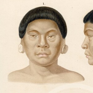 1849 Human Races: Botocudo, South American Indian - Dictionnaire D ...