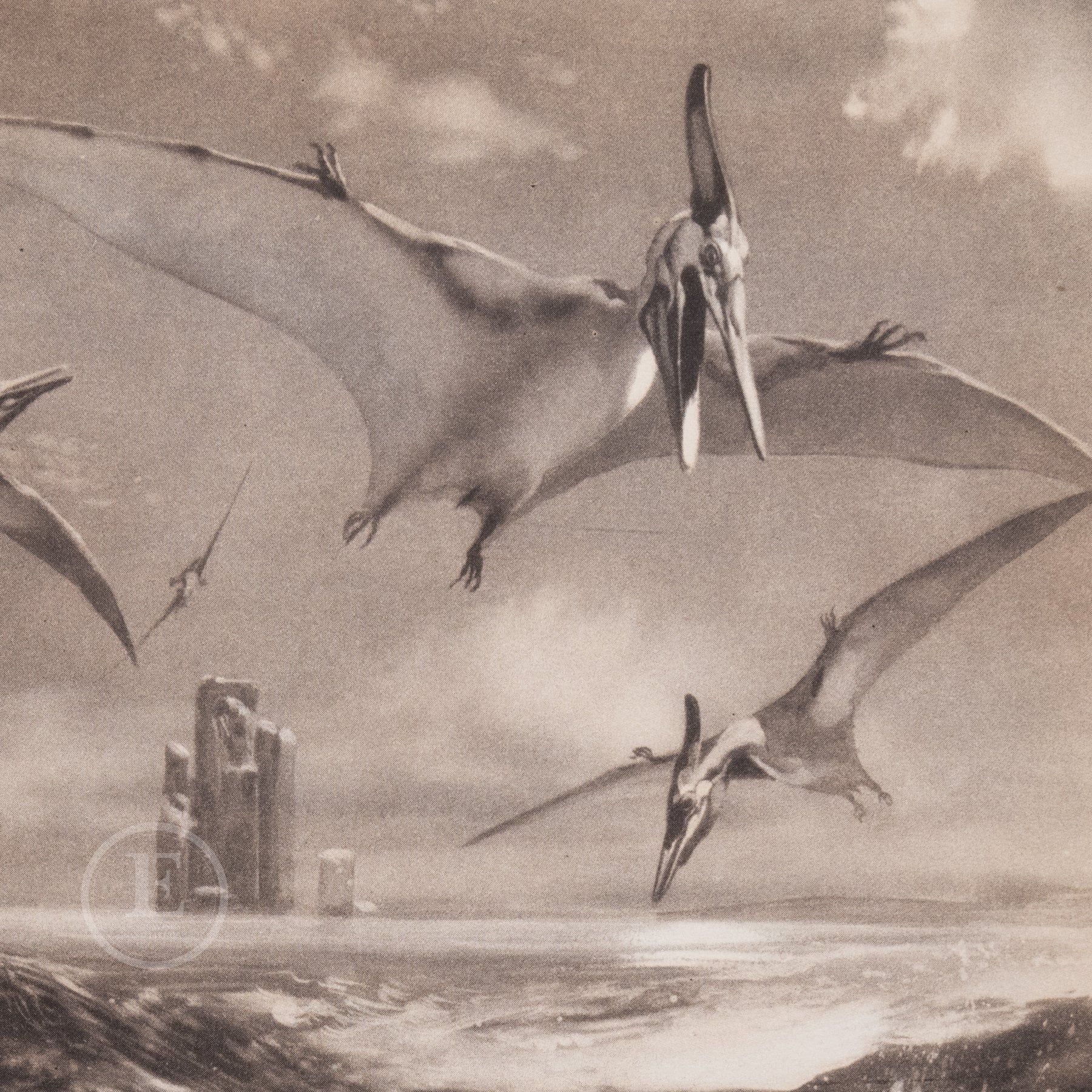 Elasmosaurus: Plesiosaur From the Late Cretaceous Period - Original ...