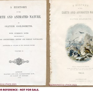 Snakes: Anaconda, Python, Cobra, Rattlesnake Rare Original From history ...