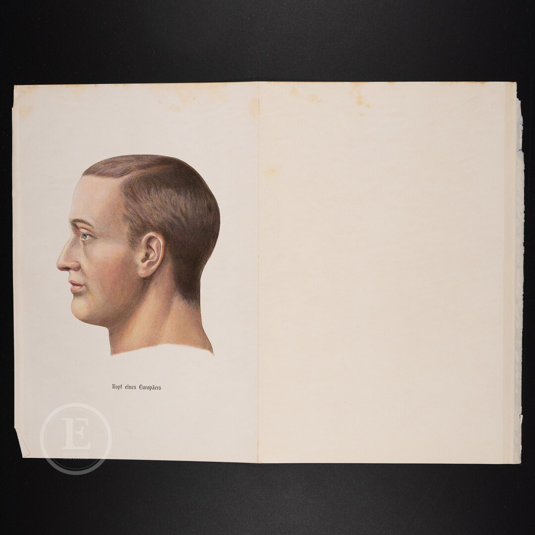 Offset Lithography of Human Head and Anatomy . "weltall Und Menschheit ...