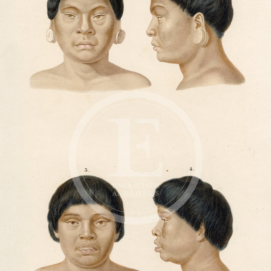 1849 Human Races: Botocudo, South American Indian - Dictionnaire D'histoire by Charles D'orbigny ...