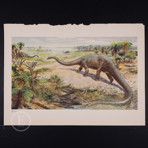 Diplodocus: Gigantic Dinosaur From Late Jurassic Period - Original ...