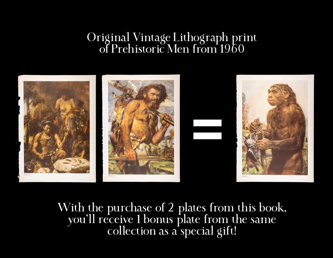 What the NEANDERTHALERS Look Like - Original Vintage Lithograph Print ...