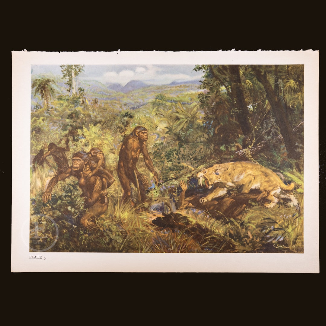PITHECANTHROPUS and NATURE Original Vintage Lithograph Print of ...