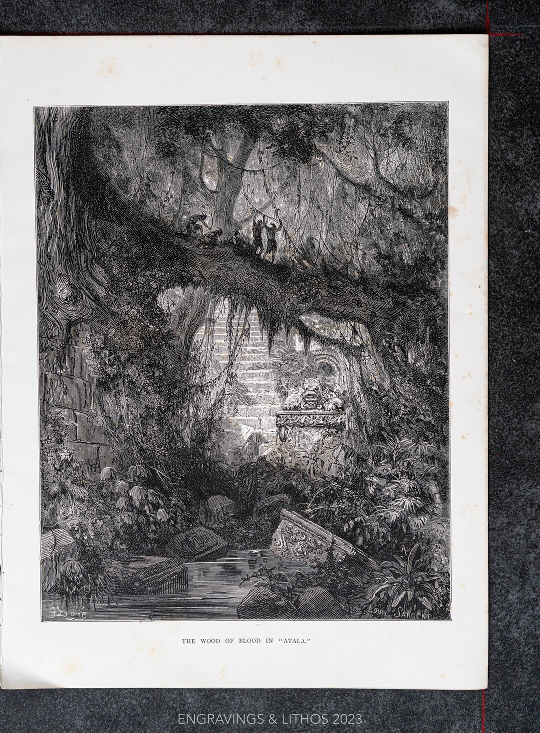 The Wood of Blood in Atala Engraving by Gustave Doré - Original ...