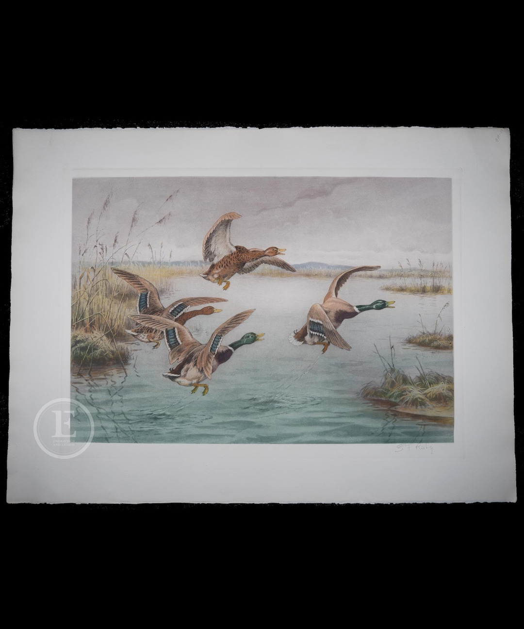 ORIGINAL ETCHING - "ducks in Flight” by Georges Frédéric Rötig - Big 30 ...