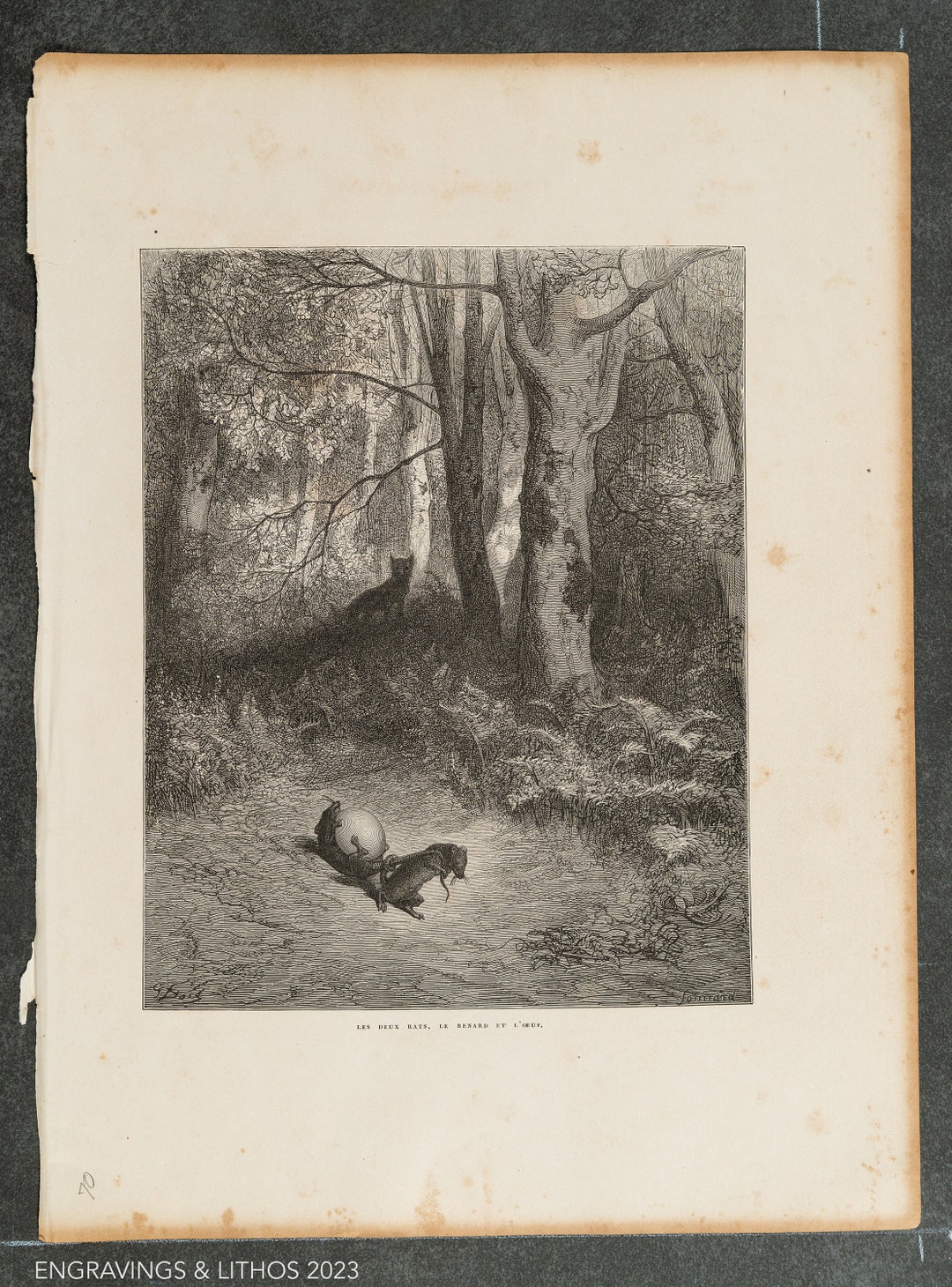 1868 the Two Rats, the Focus, and the Egg - Original Engraving From ...