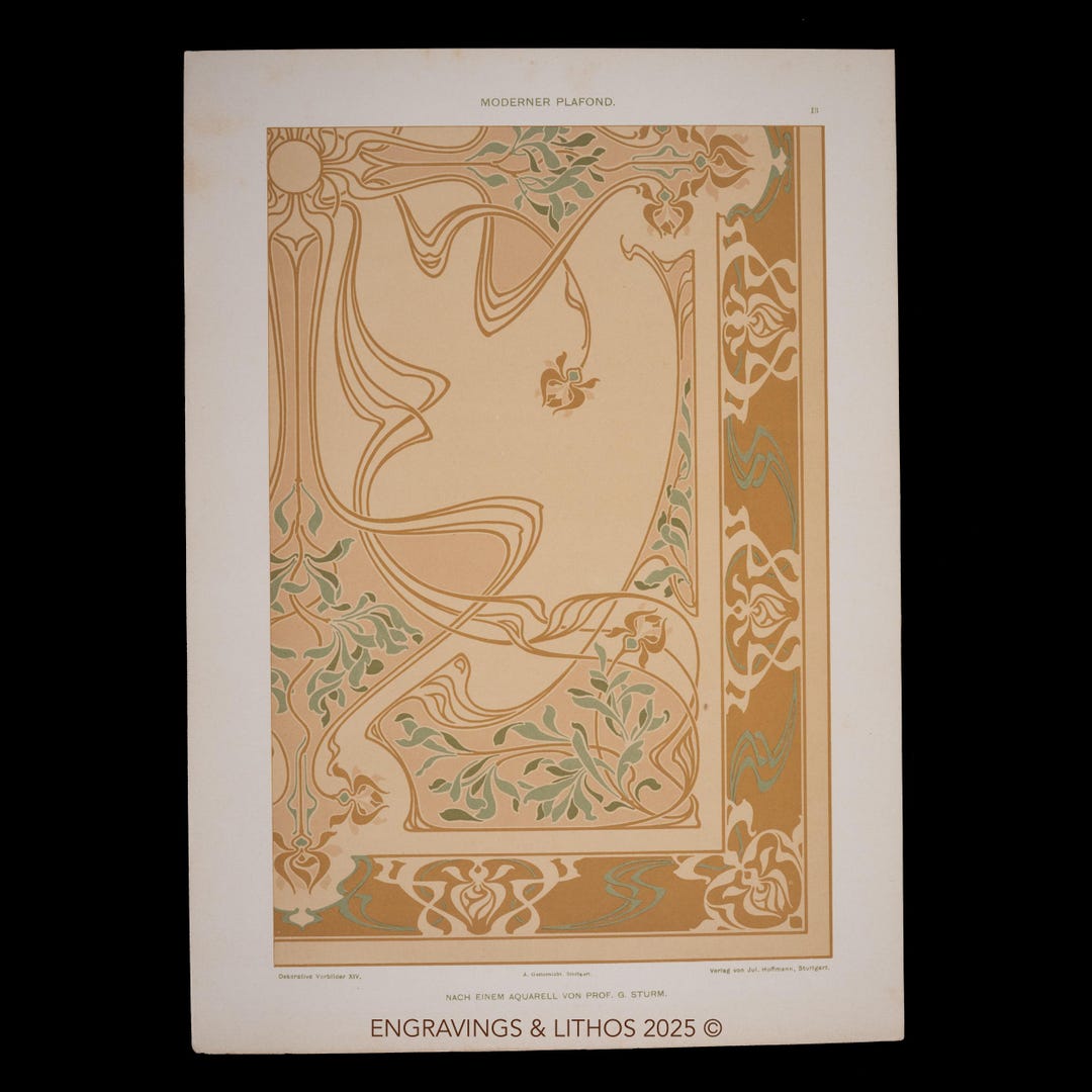 1902 MODERN CEILING DESIGNS - Prof. G. Sturm – Early Art Nouveau ...