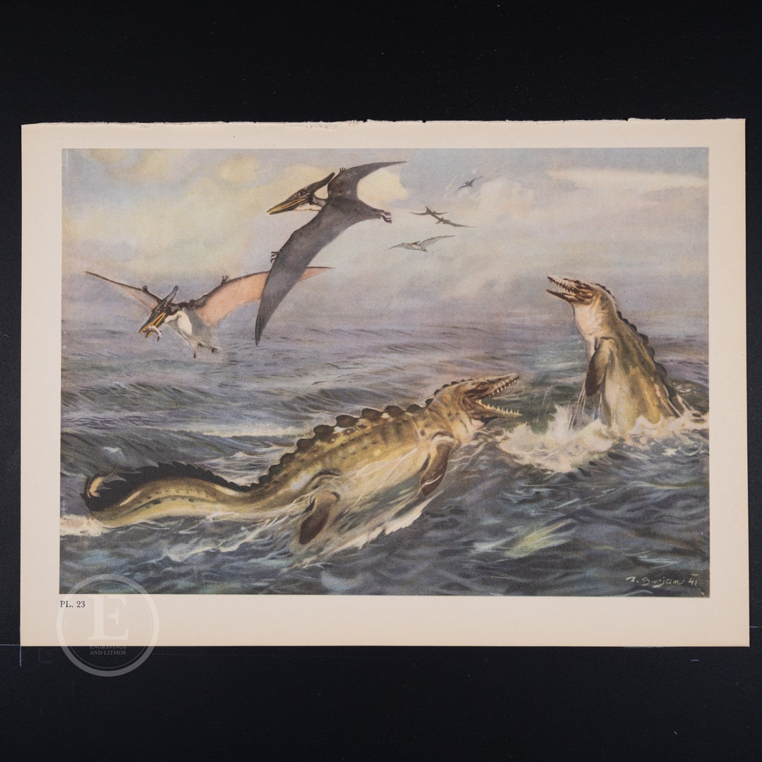 Pteranodon and Tylosaurus: Largest Flying and Marine Reptiles ...