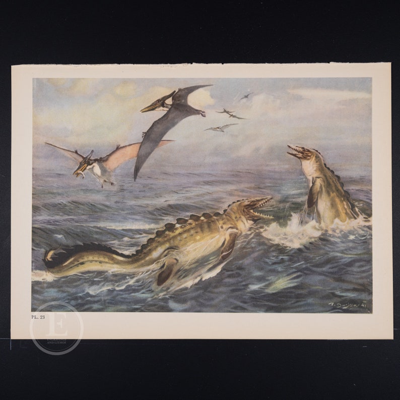 Pteranodon and Tylosaurus: Largest Flying and Marine Reptiles ...