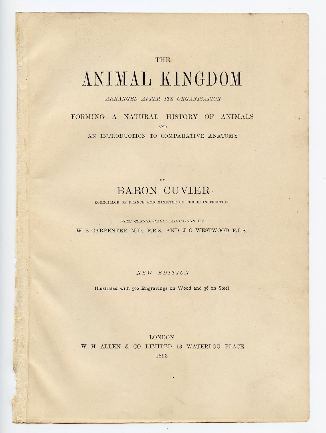 Vultures Exquisite Plate RARE ORIGINAL PRINT From - Etsy