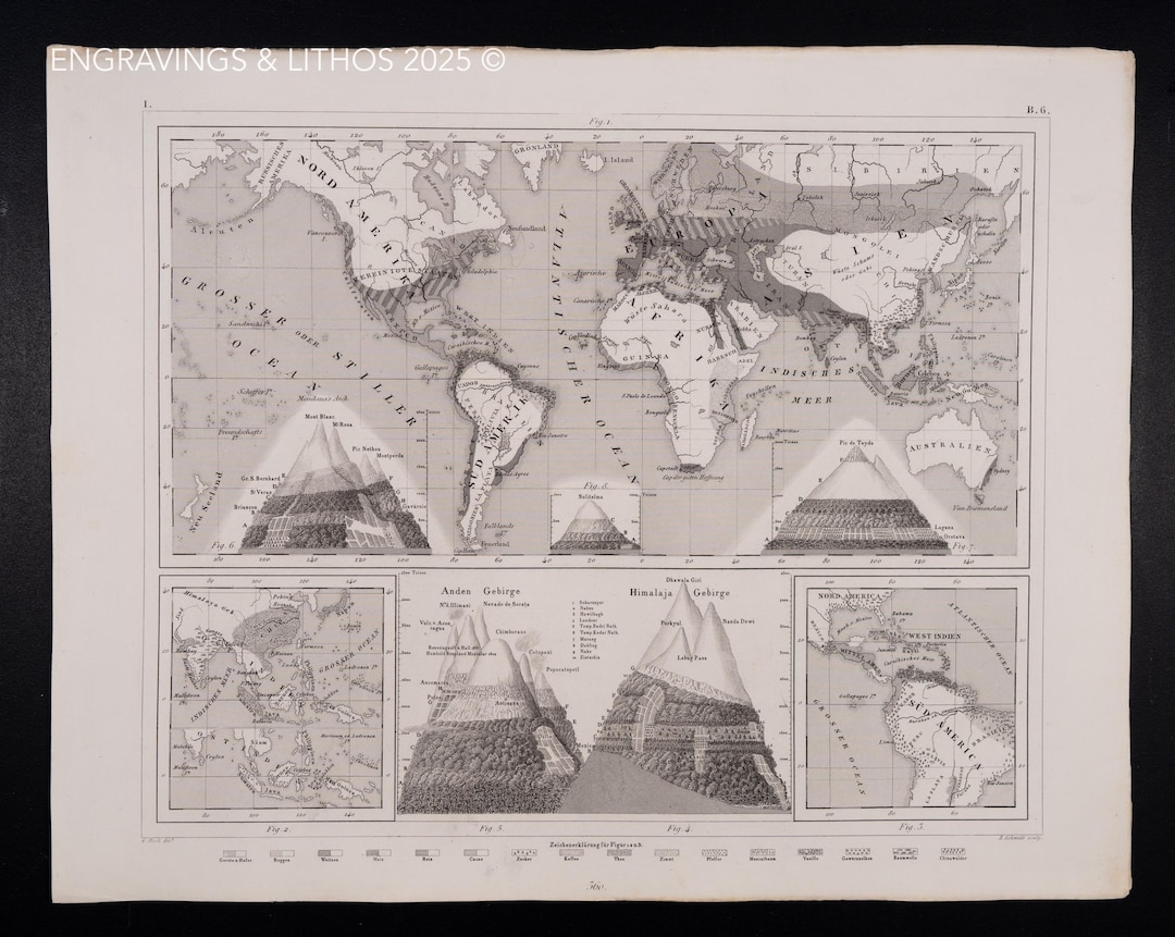 1849 Mountain Ranges Map - Antique World Geography Engraving - Etsy