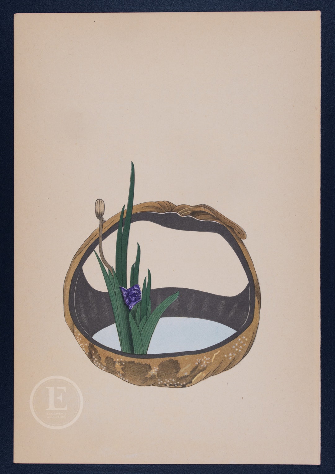 IRIS - Selected Arrangements of Moribana and Heikwa - Vintage ...