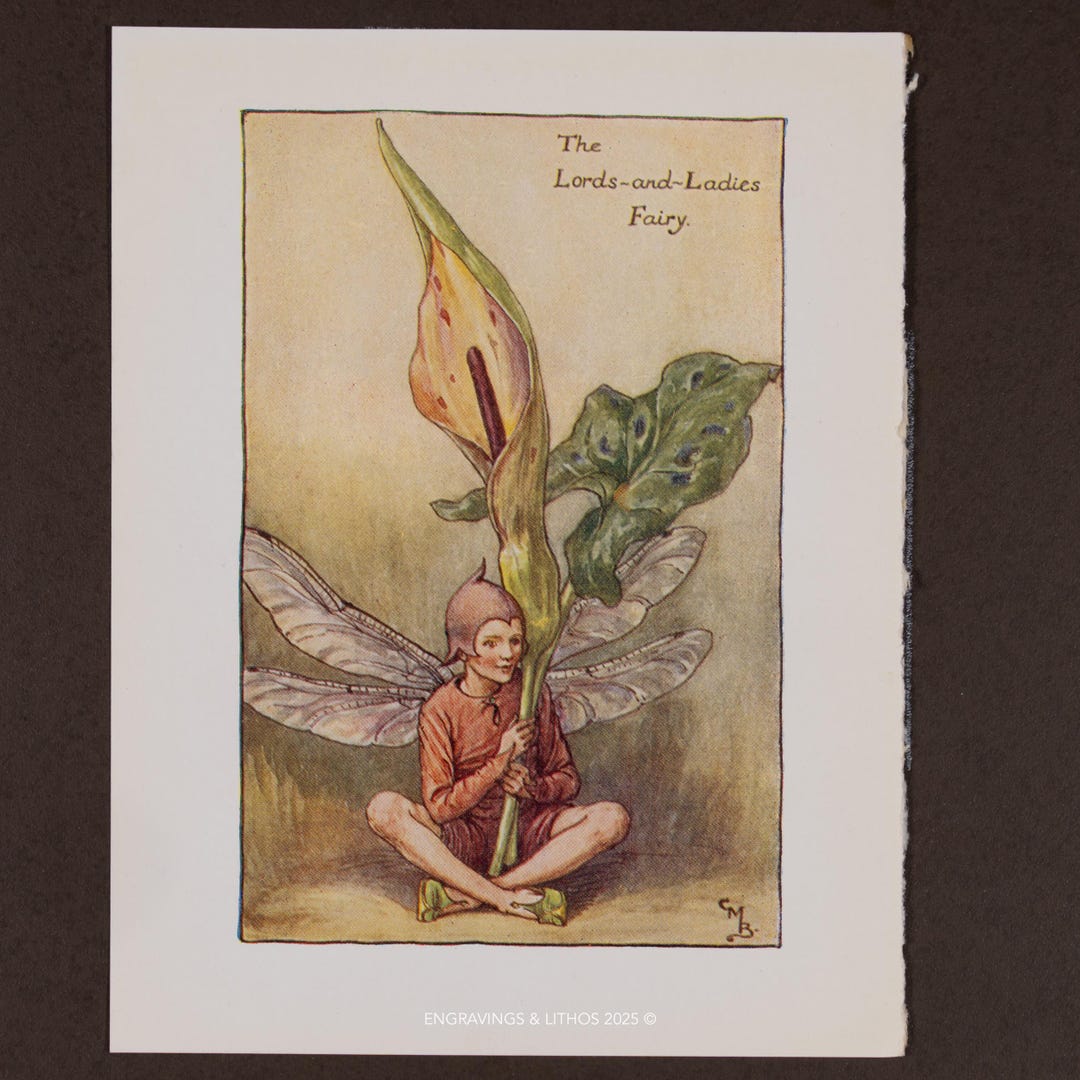 1940 the Lords and Ladies Fairy– 1940 Lithograph by Cicely Mary Barker ...