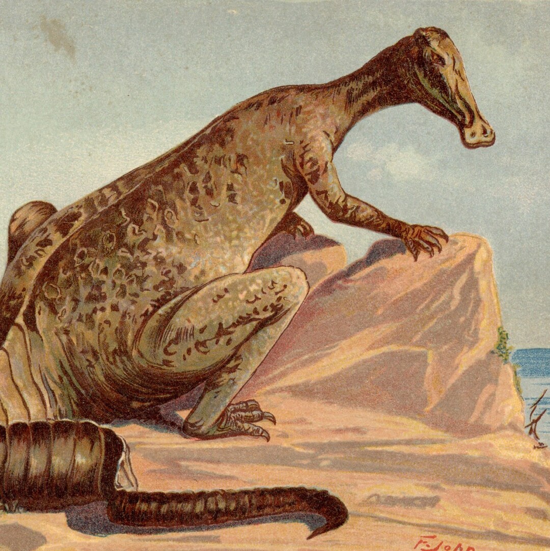 Hadrosaurus Late Cretaceous Vintage Print From Tiere Der - Etsy