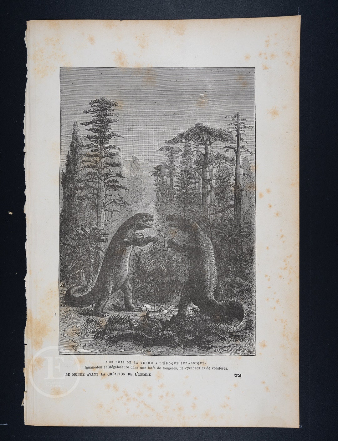 Iguanodon and Megalosaurus in a Forest in the Jurassic Era - Very Rare ...