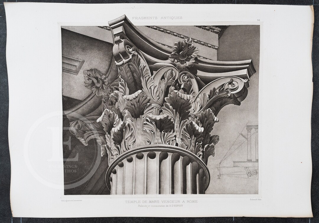 1905 Capitol Column Detail Temple of Mars Ultor (mars the Avenger ...