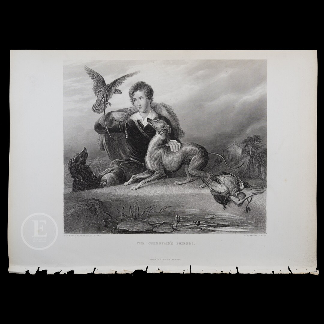 1877 PERSIAN GRAYHOUND DOG / the Chieftain's Friends - Original Steel ...