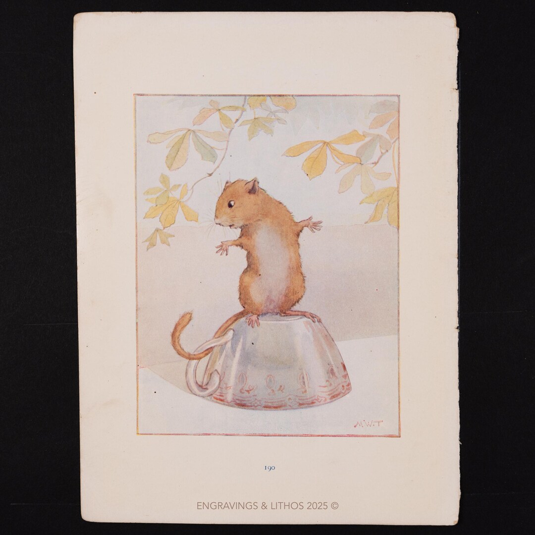 1916 ALICE With the DORMOUSE – Vintage Illustration From Alice’s ...