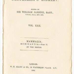 Wild Goat, Caprus Aegagrus, Female and Young - an Original From "the ...