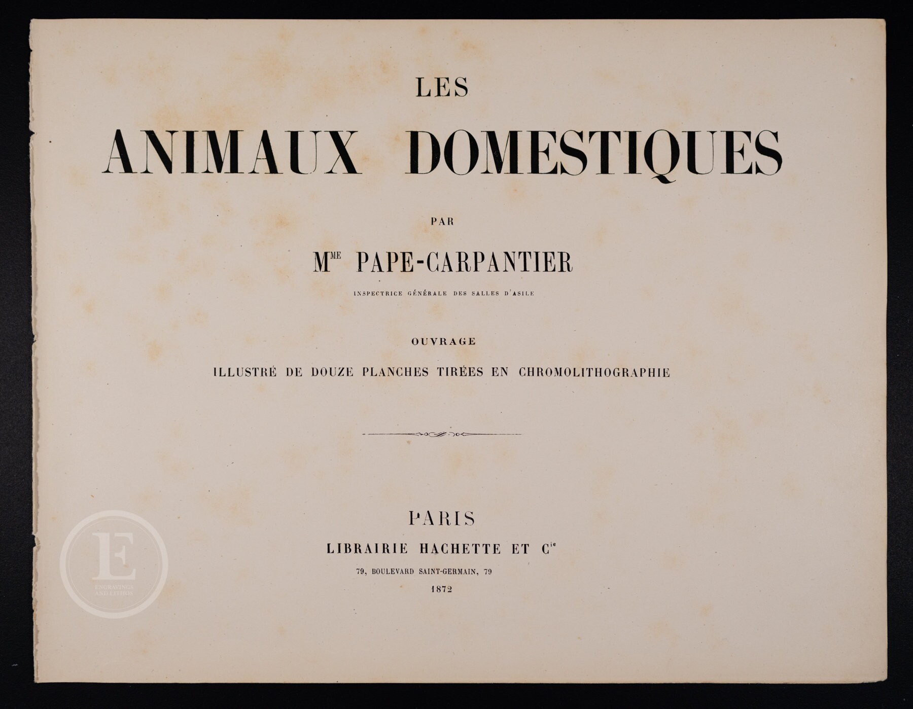 1872 Samoyed Dog / Original Plate From "les Animaux Domestiques" Book ...