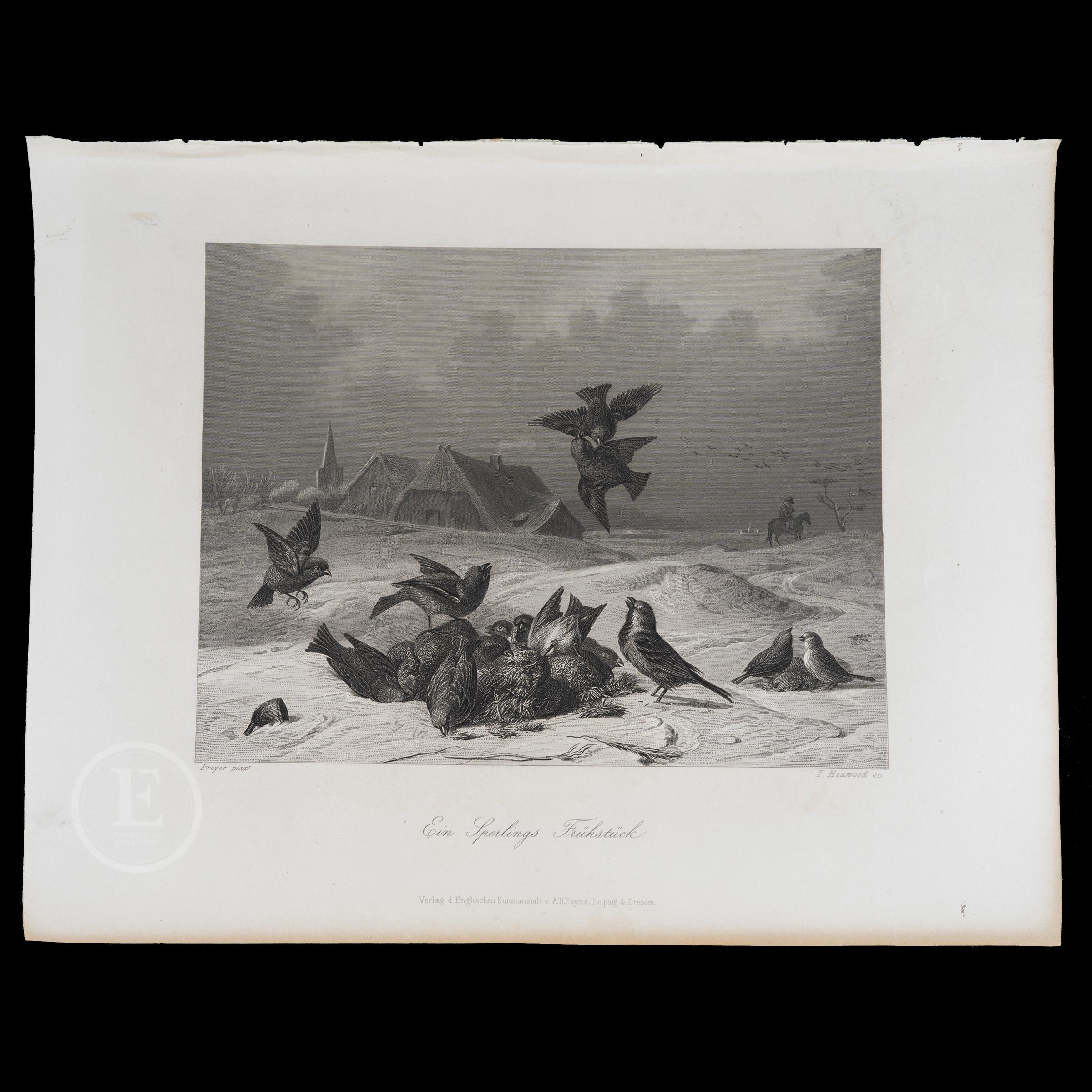 1855 SPARROW'S BREAKFAST - Black and White Steel Engraving by Albert ...
