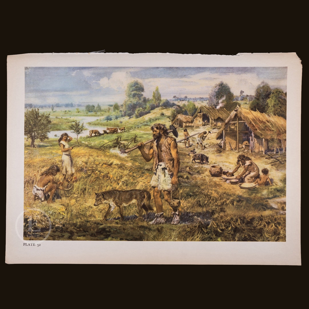 The Prehistoric Man: A Neolithic Settlement - Original Vintage ...