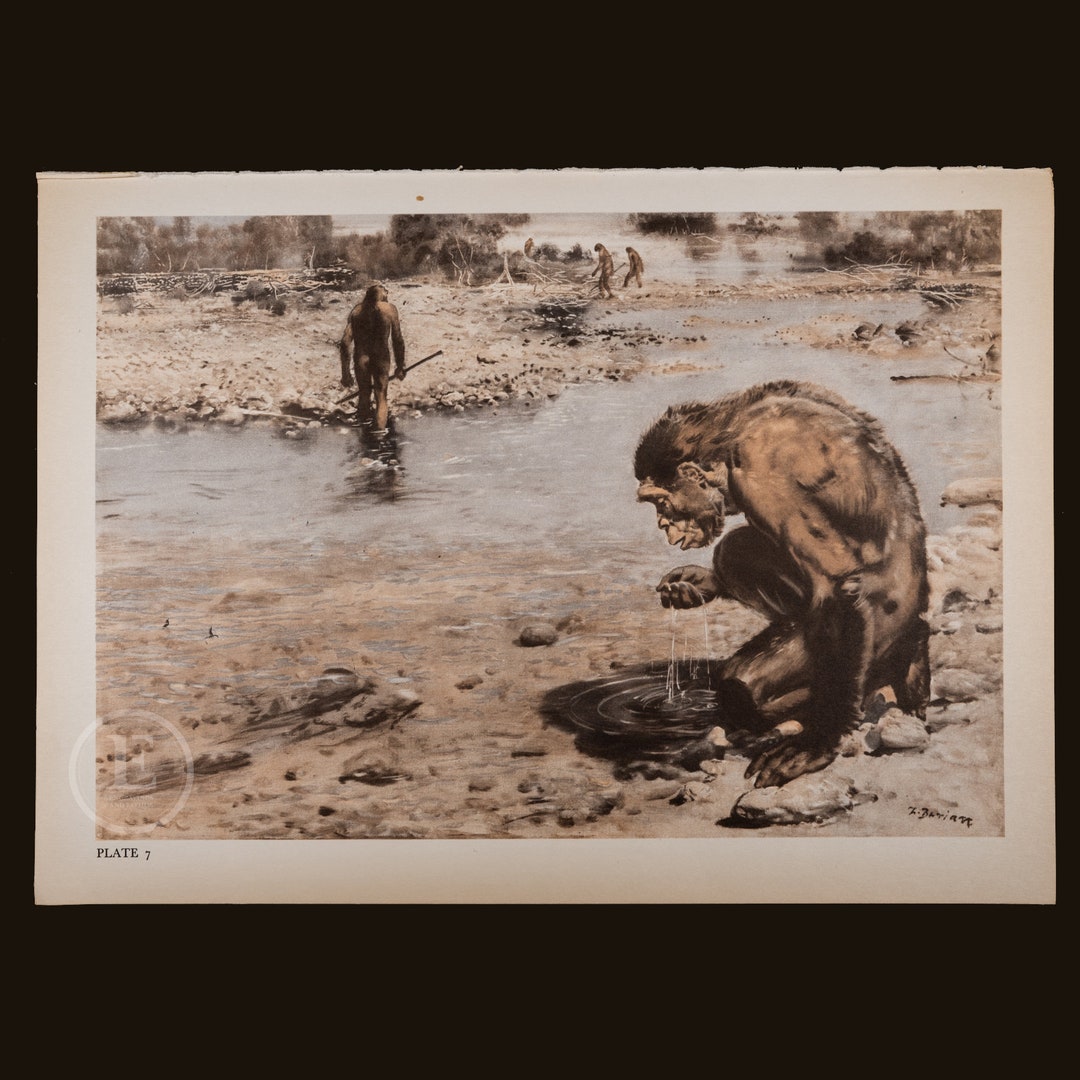 HEIDELBERG MAN - Original Vintage Lithograph Print of Prehistoric Men ...