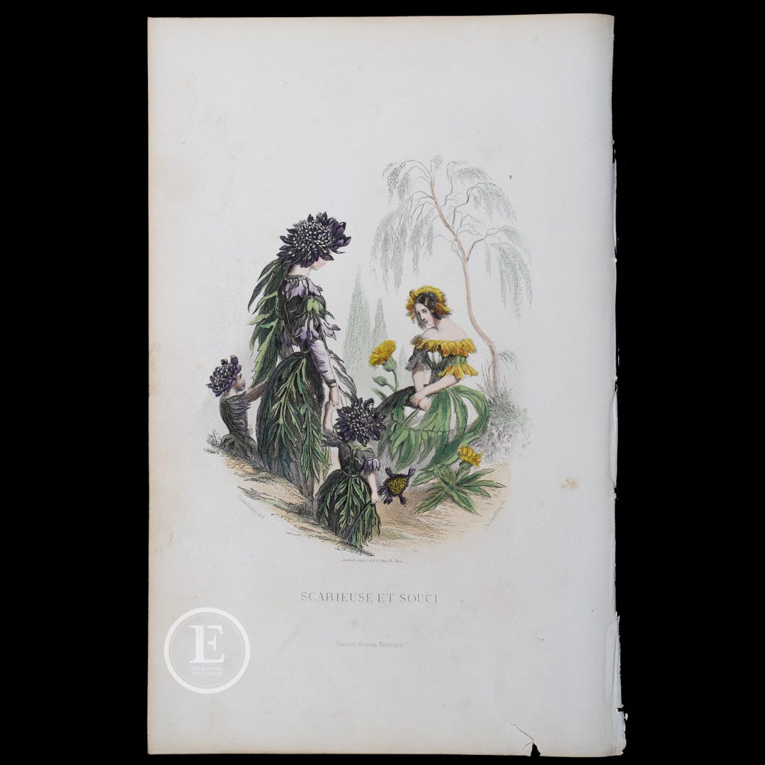 1867 MOURNING BRIDE and MARIGOLD / Hand-colored Plate From "les Fleurs ...