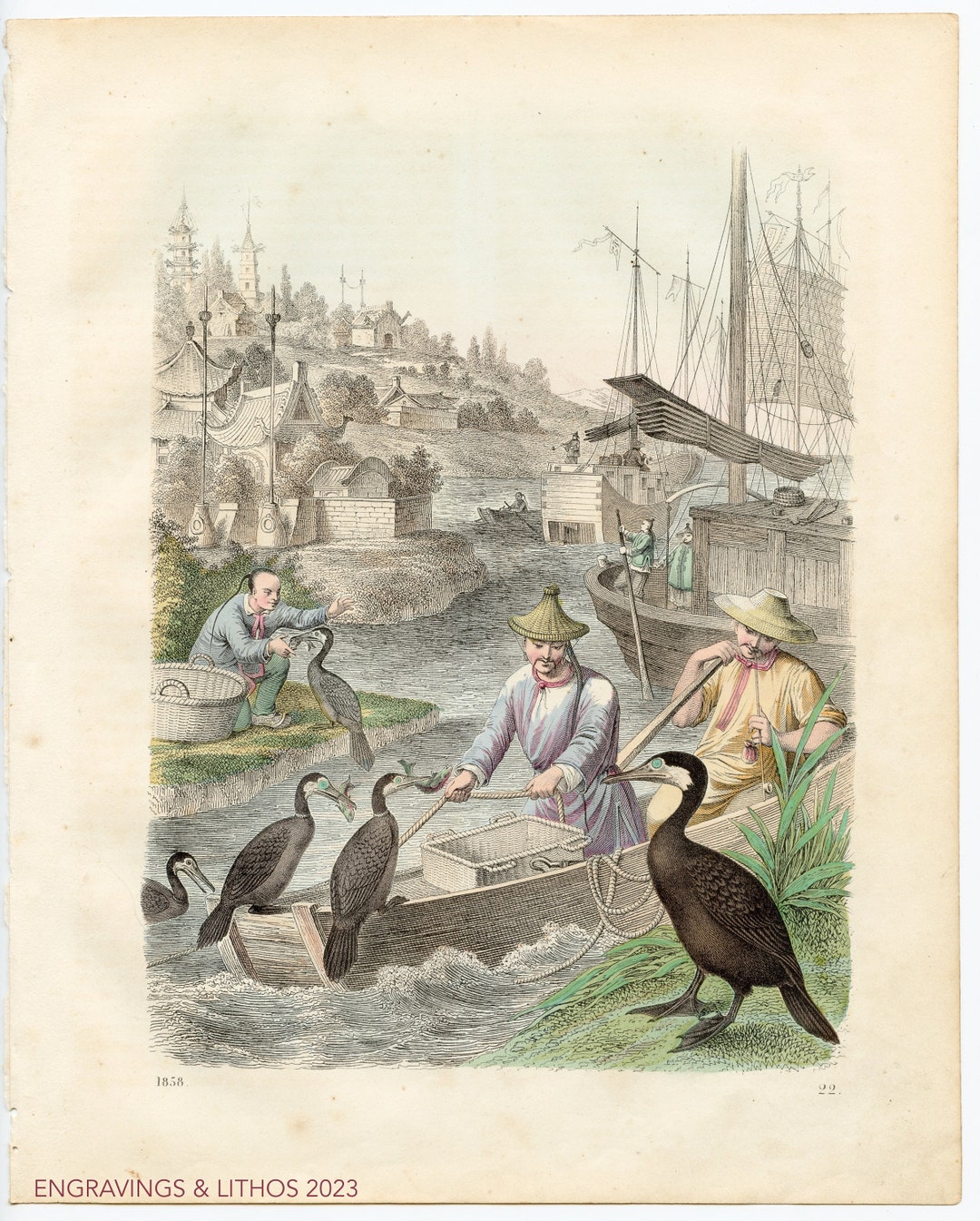 1858 the Cormorant and His Use for Fishing - Rare Plate From "book of ...
