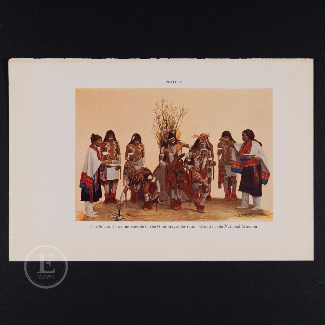 The Snake Dance, an Episode in the Hopi Prayers for Rain. in the ...