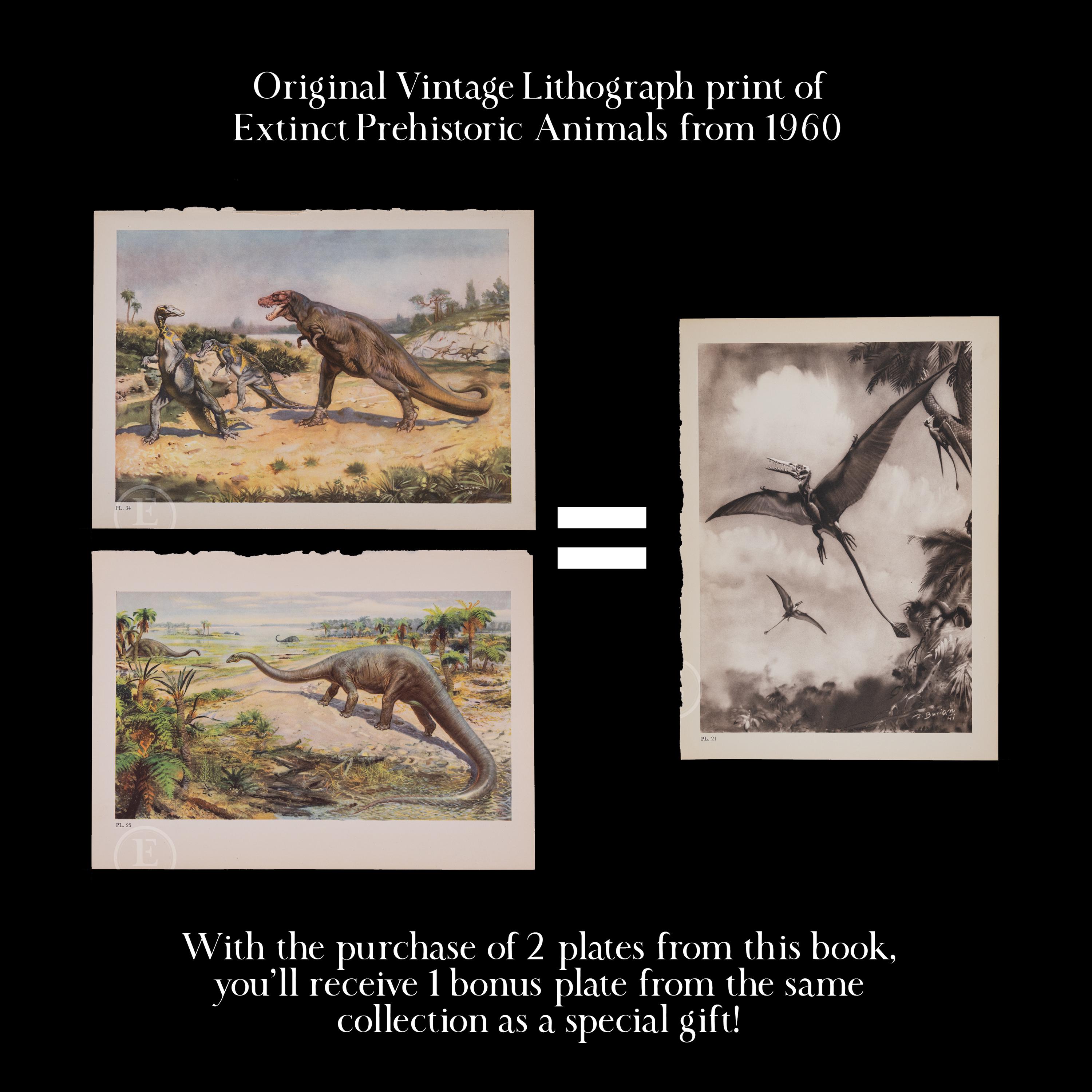 Cryptoclidus: Plesiosaur From the Middle Jurassic Period - Original ...
