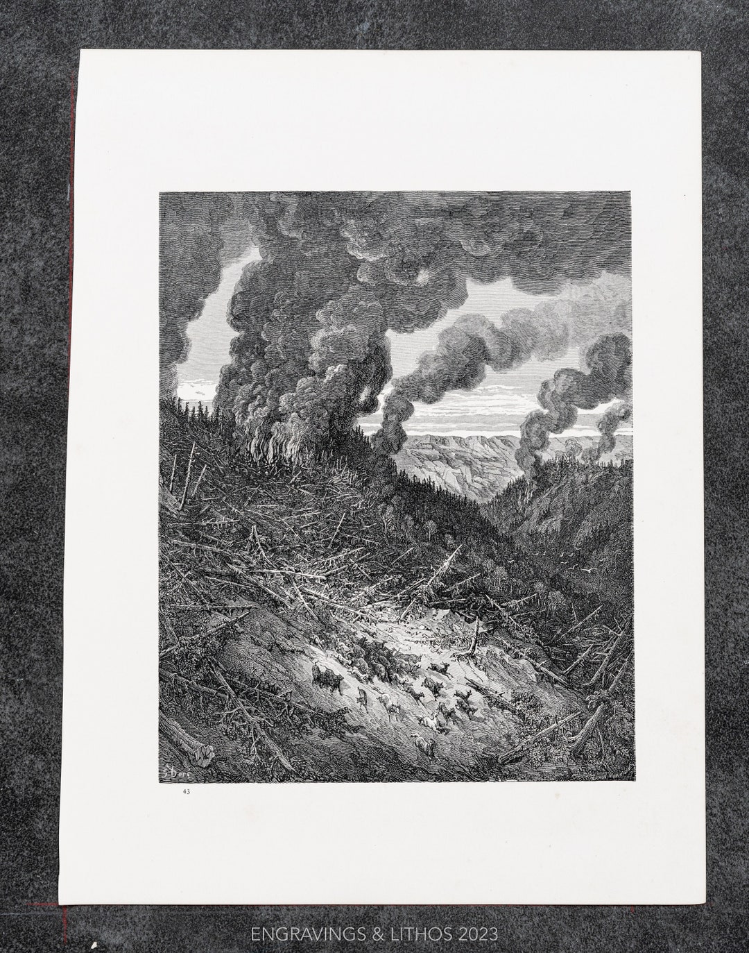 1870 the Raging Forest Fire: Atala by Chateaubriand - Original ...