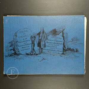 1902 DINICHTHYS, Extinct Placoderm Fish Vintage Print From Tiere Der ...