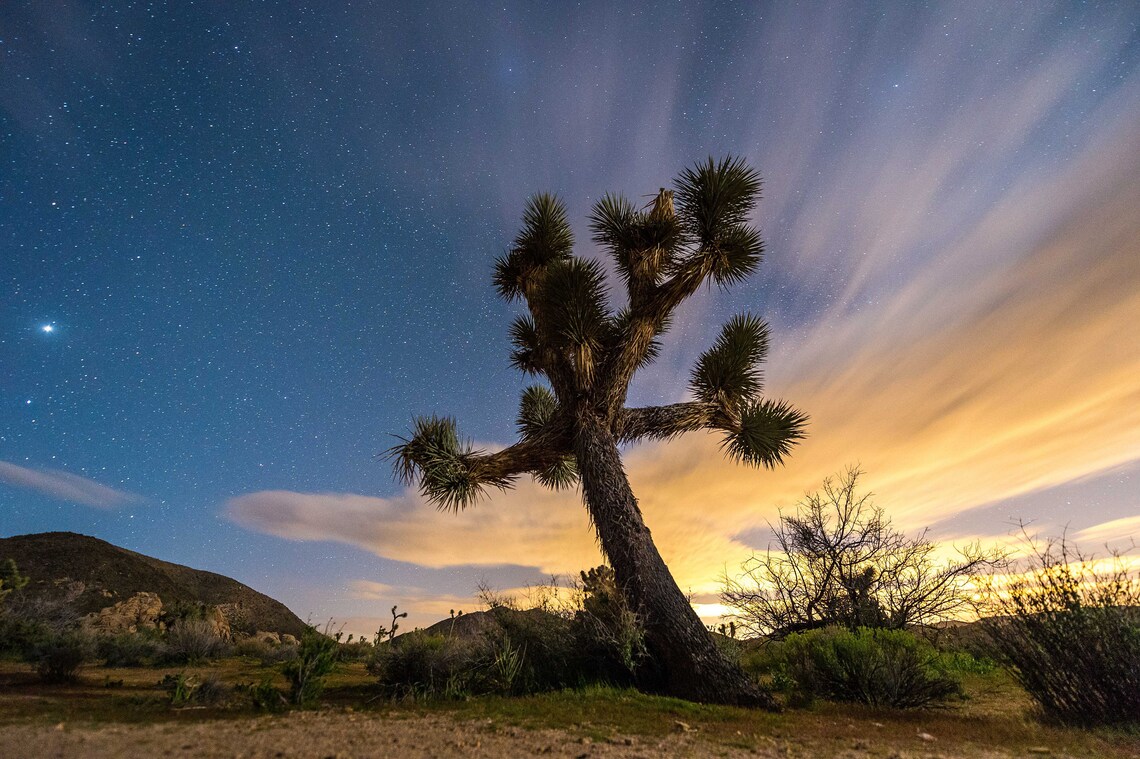 Photo Print: Joshua Tree Full Moon - Etsy