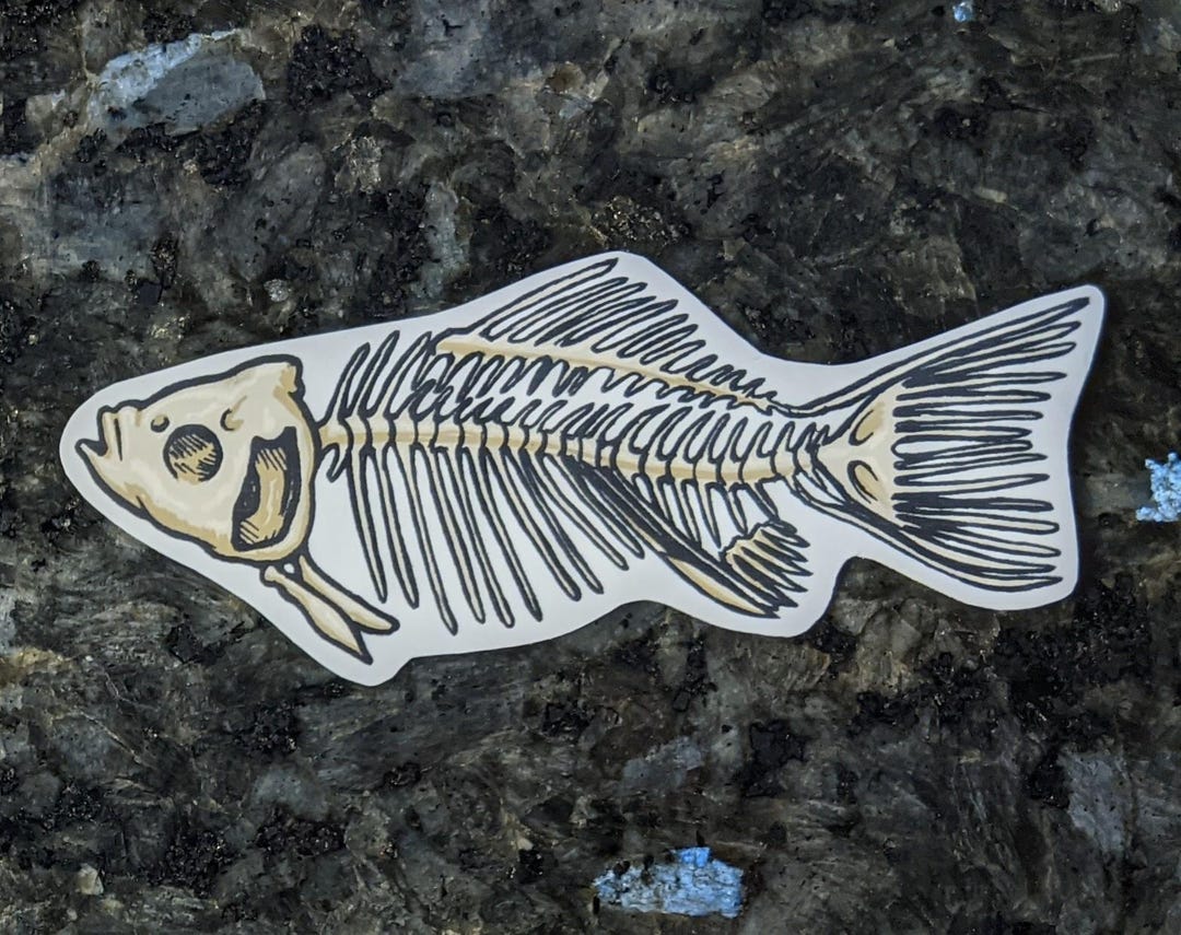Fishbone Laminated Vinyl Sticker Decal - Etsy