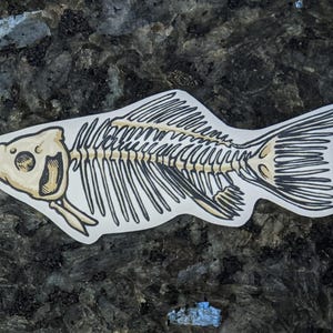 Fishbone Laminated Vinyl Sticker Decal - Etsy