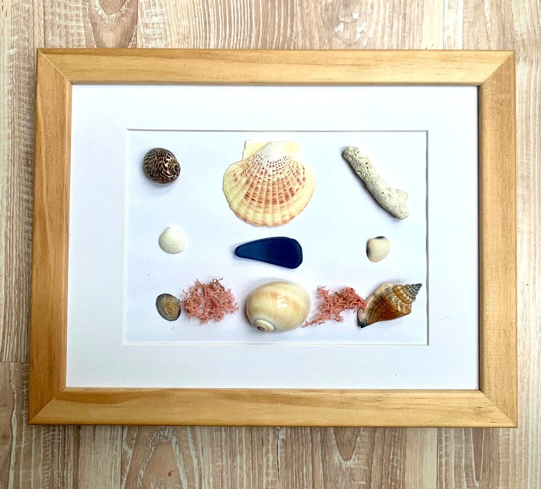 Shell Picture in Wooden Frame, Natural Art With Real Shells, Picture ...
