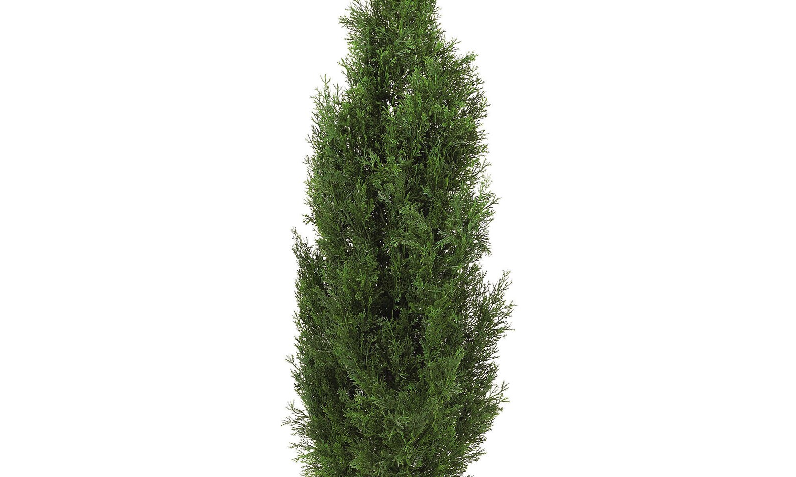 4' Cedar Tree Silk Tree in-door/out-door - Etsy