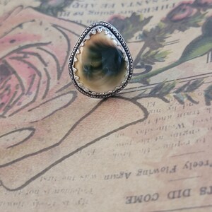 Sterling Silver Shiva Shell Statement Ring. Victorian Style Ring Size 8 ...