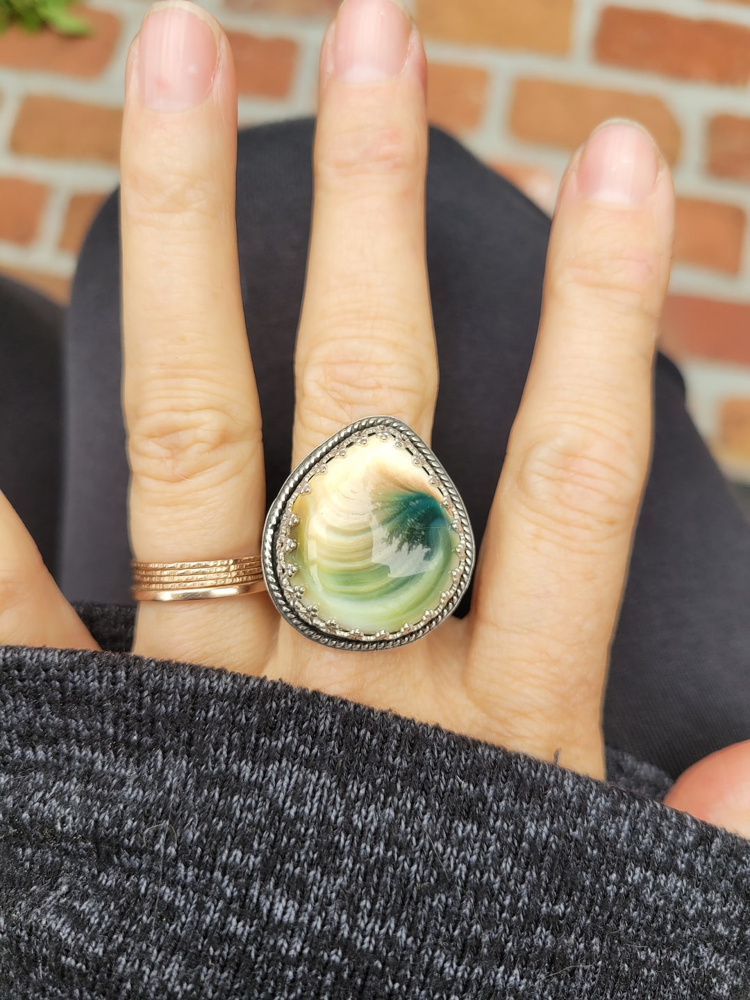 Victorianesque Sterling Silver Shiva Shell Ring. Pacific Cats Eye Shell ...