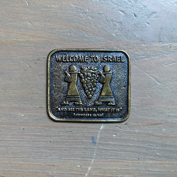 Vintage Israel Flag Pin - Etsy