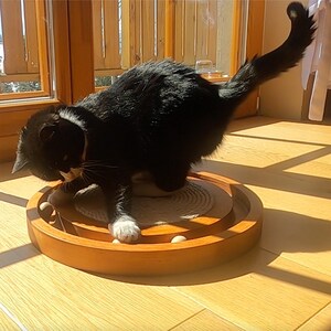 Cat Toy Cat Ball Game Cat Ball Chase Handmade of Natural Materials Only ...