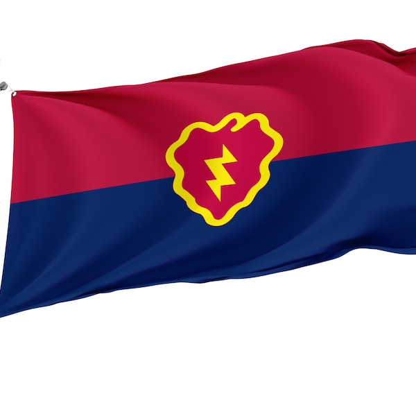 25th Infantry Division Flag - Etsy