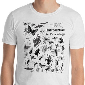 An Introduction to Entomology Insect T-shirt - Etsy