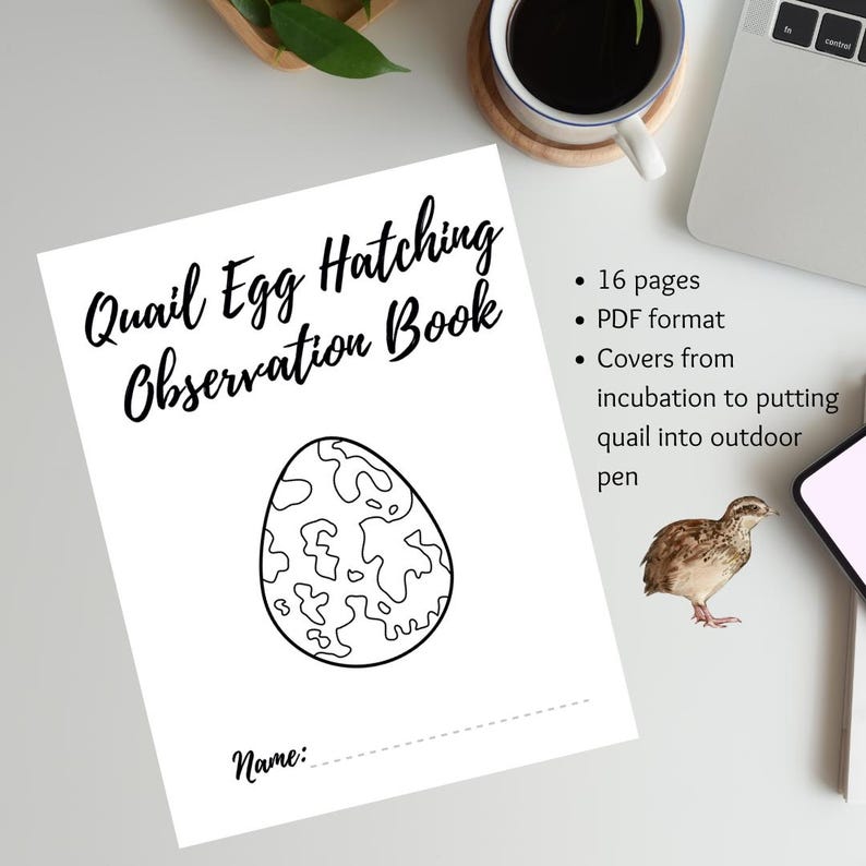 Quail Egg Hatching Observation Journal Printable - Etsy