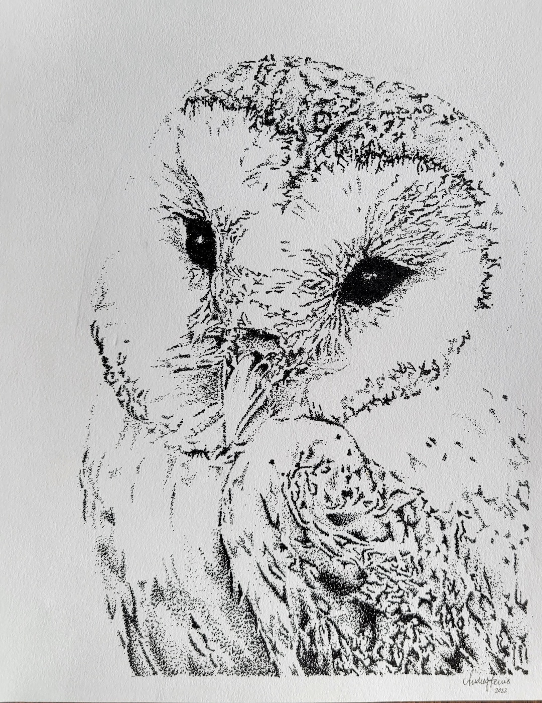 Snowy Owl Pointillism Original Drawing - Etsy