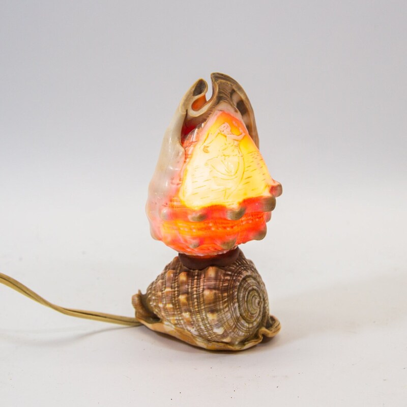 Conch Shell Lamp - Etsy