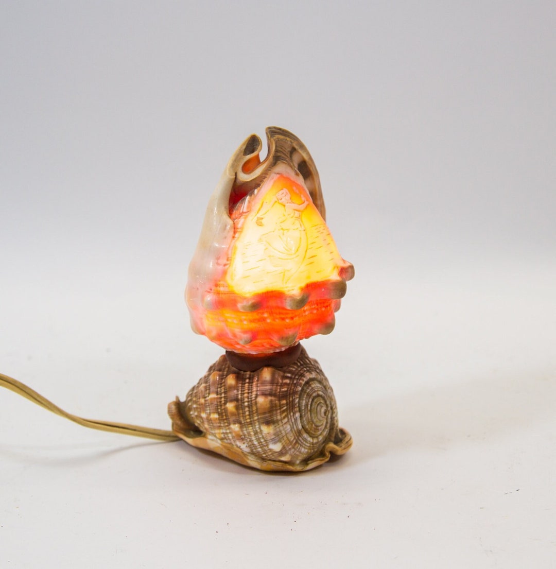 Natural Sea Shell Lamp | Cameo Conch Shell | Orange Glow | Vintage 60's ...